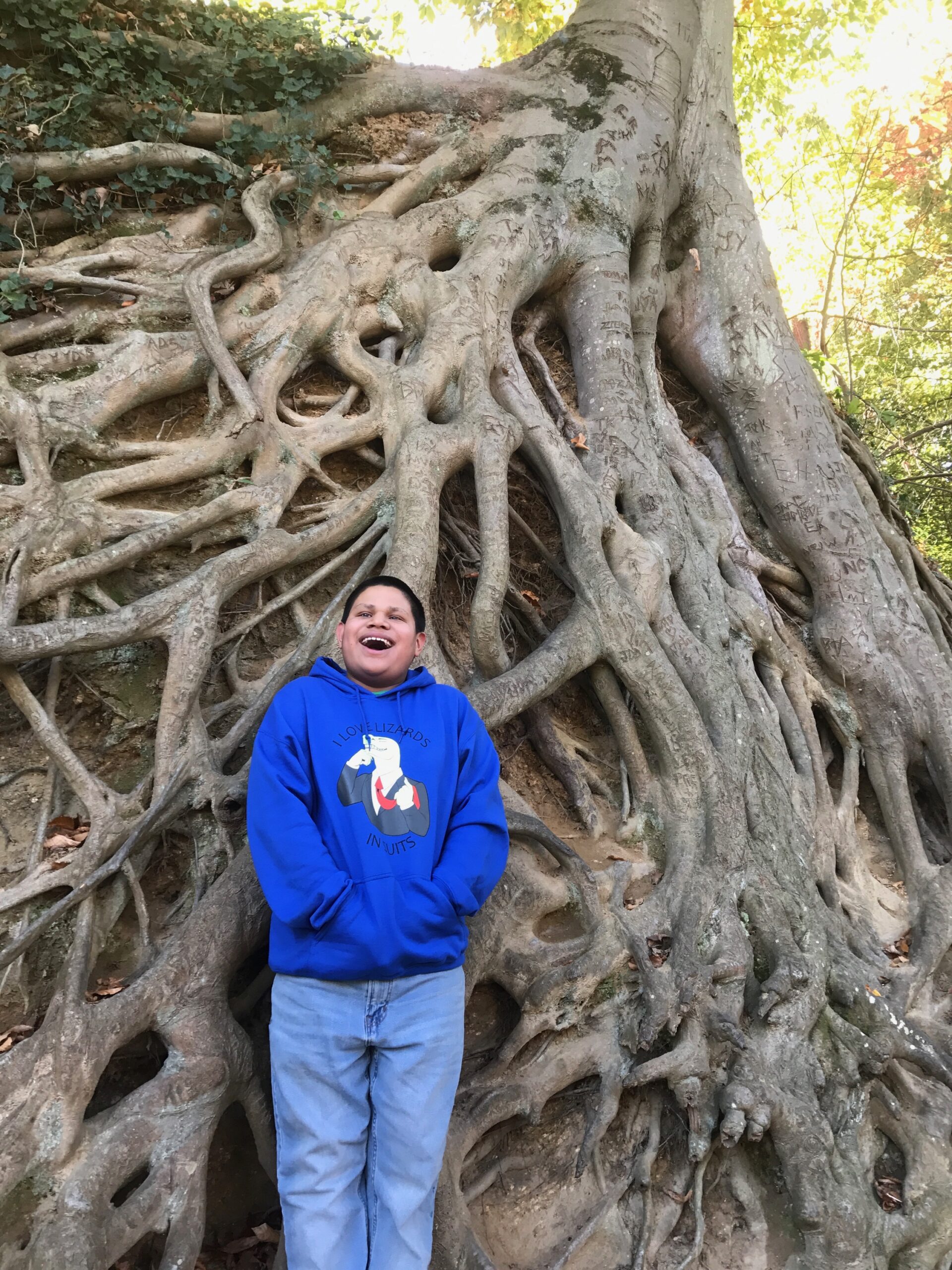 THE MEDUSA TREE - Greenville360